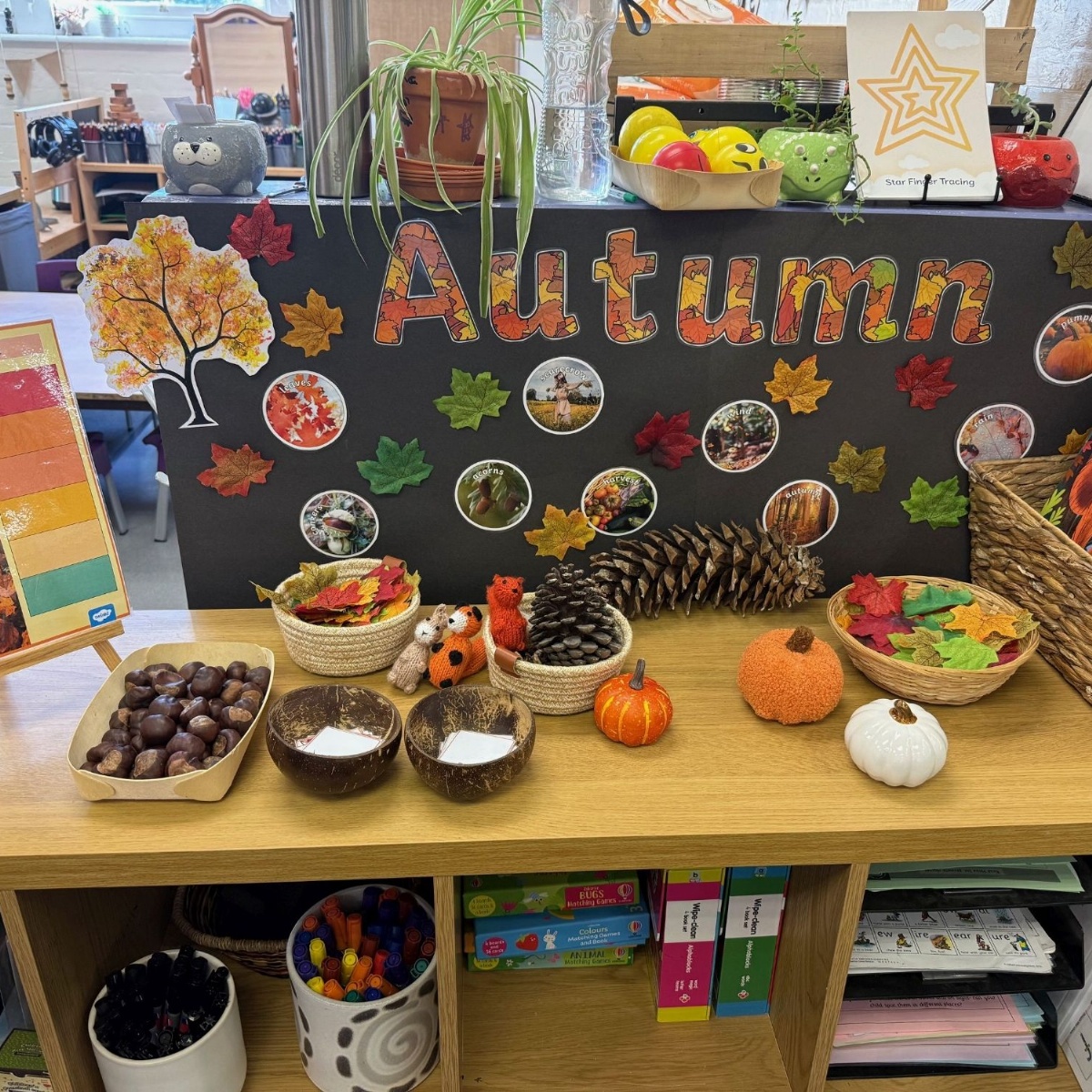 Highfield CE Primary School - Autumn